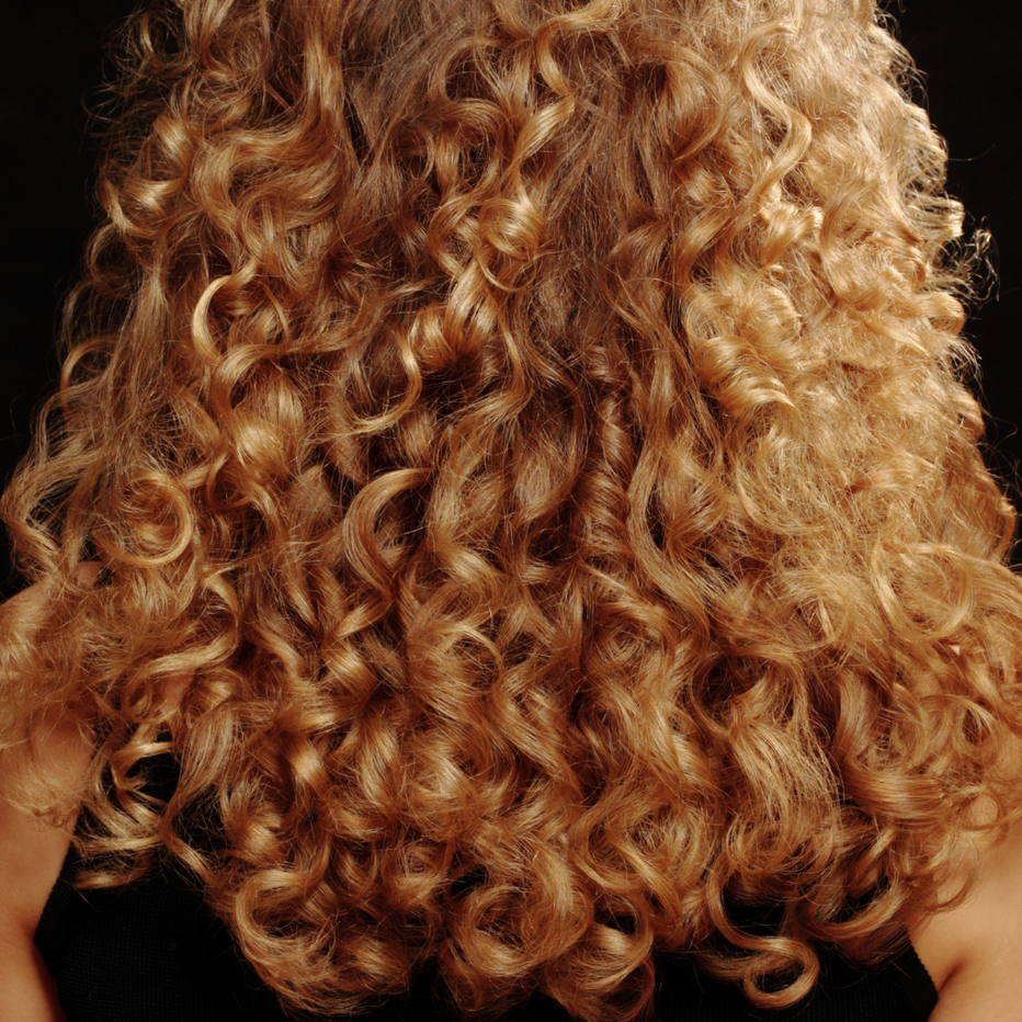 Plopping 101: What it Is and How to Do It – Curl Warehouse