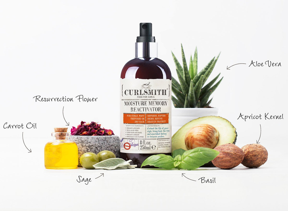 Curlsmith Moisture Memory Reactivator | Curl Warehouse